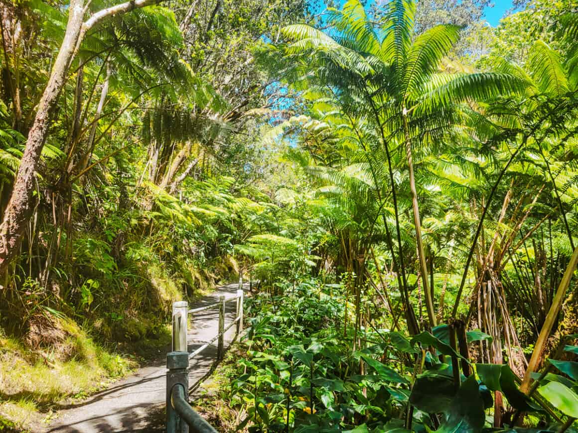 Big Island mit Kindern - 5 Erlebnisse für euren Traumurlaub